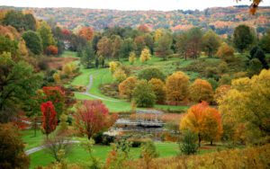 4 Reasons You Will Love Fall in the Finger Lakes!