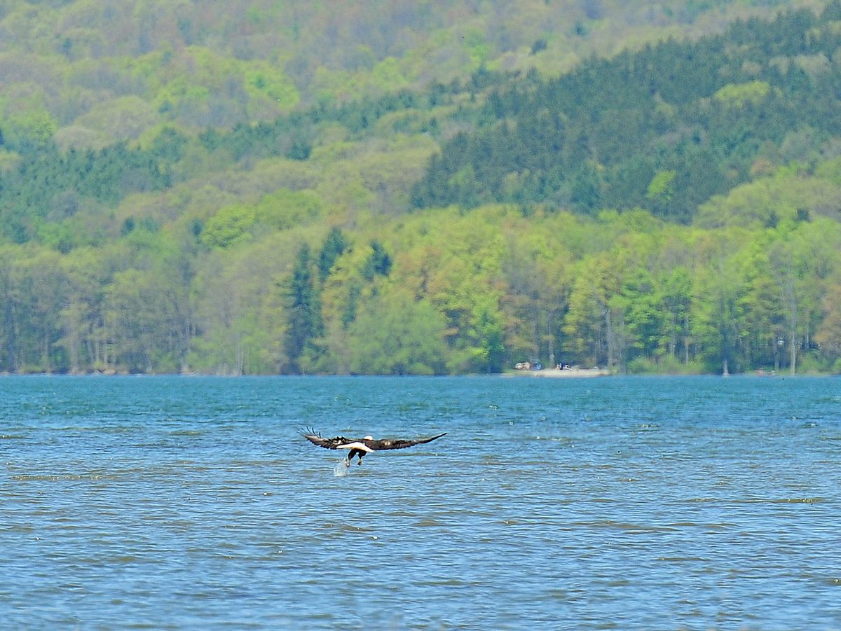 Canadice Lake Information Your guide to Canadice Lake kayaking and ...