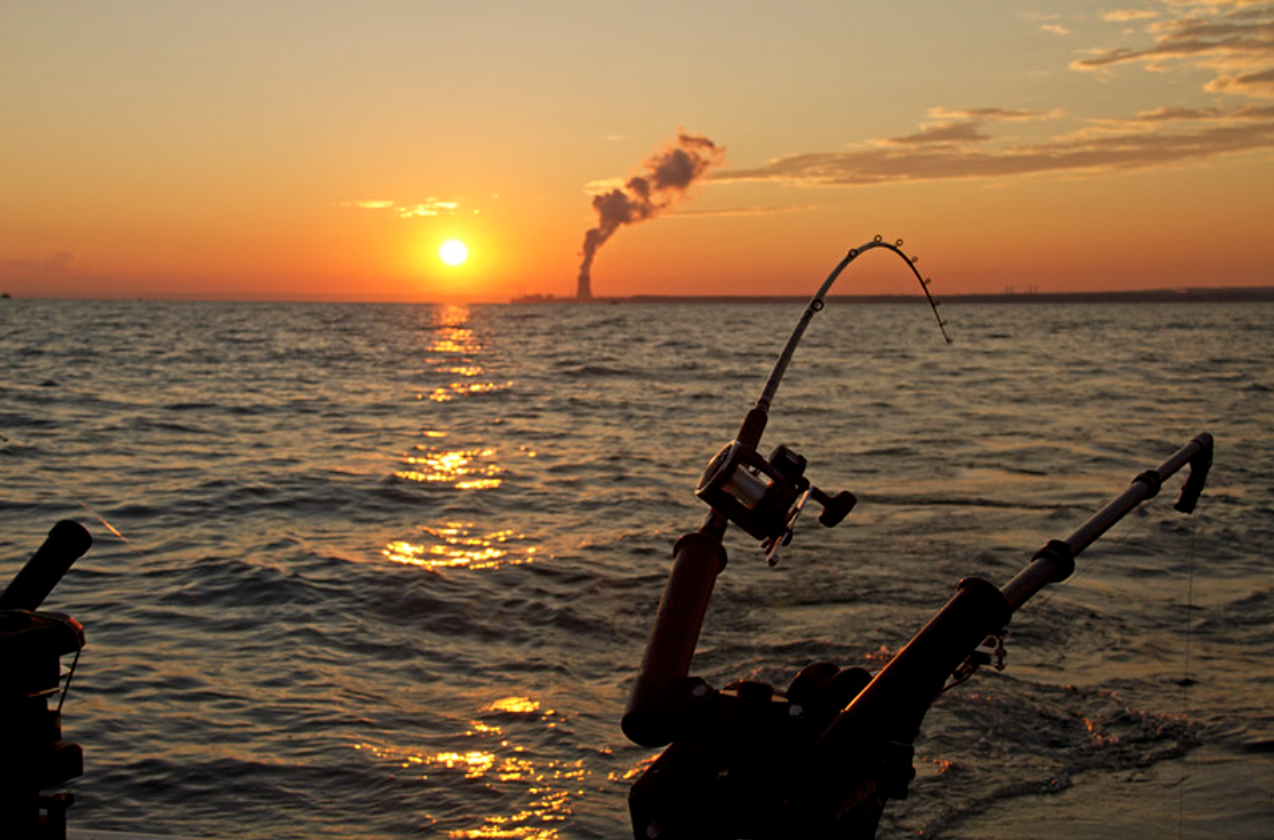 Seneca Lake - A guide to Seneca Lake Hotels, Bed and Breakfasts in the ...