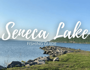Seneca Lake Fishing Guide - A guide to fishing in Seneca Lake