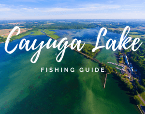 Cayuga Lake Fishing Guide - FingerLakes.com