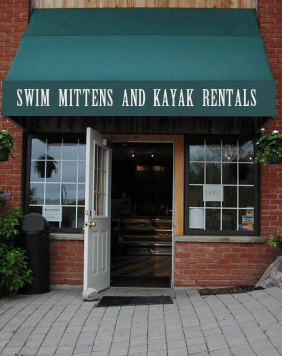 Dolphins Return - FingerLakes.com