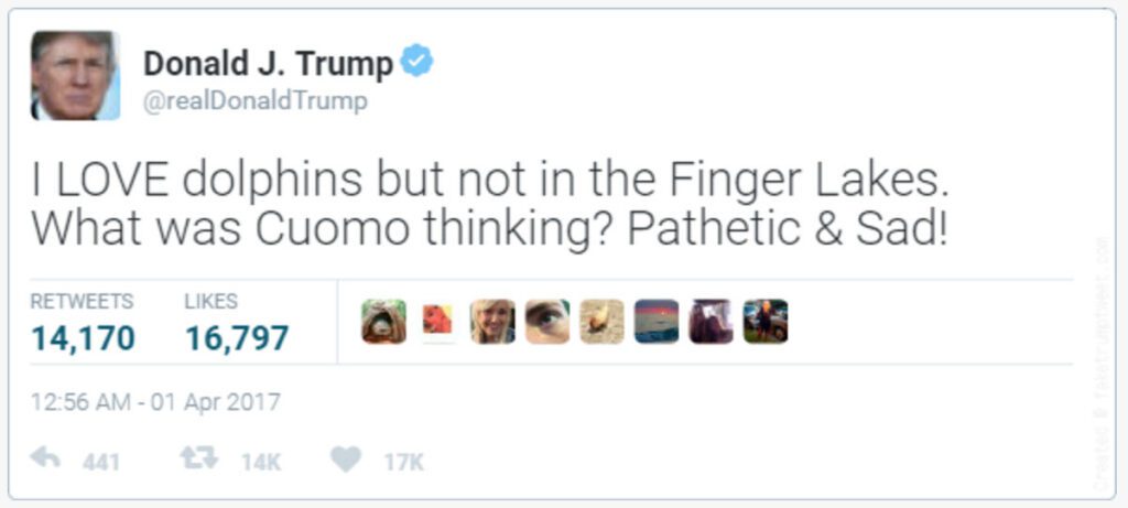 Dolphins Return - FingerLakes.com